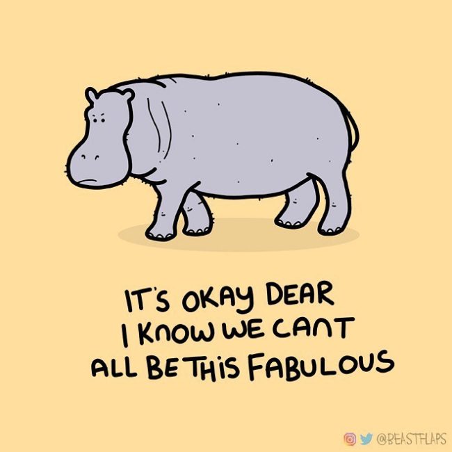 This Artist Draws 100 Grumpy Animals » Design You Trust — Design Daily ...