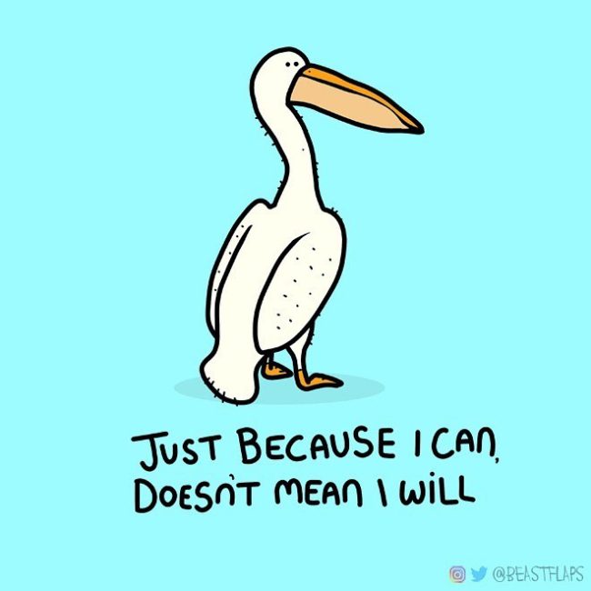 This Artist Draws 100 Grumpy Animals » Design You Trust — Design Daily ...