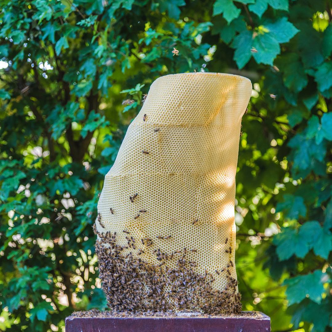 Impressive Honeycomb Sculptires by Tomáš Libertíny » Design You Trust ...