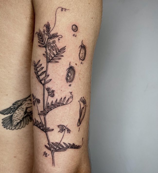 Artist Creates Tattoos Inspired By Scientific And Strange Subjects ...