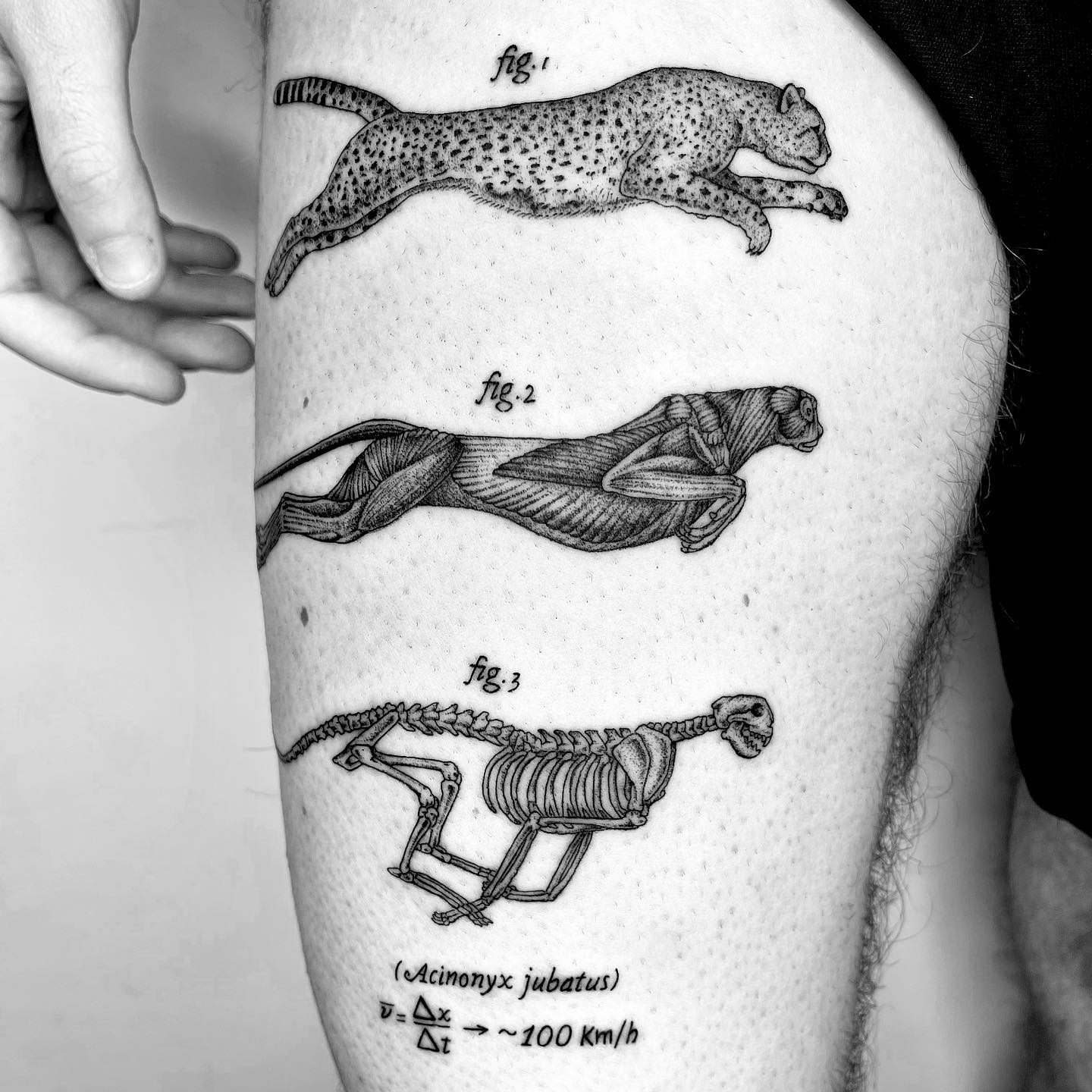 Artist Creates Tattoos Inspired By Scientific And Strange Subjects ...
