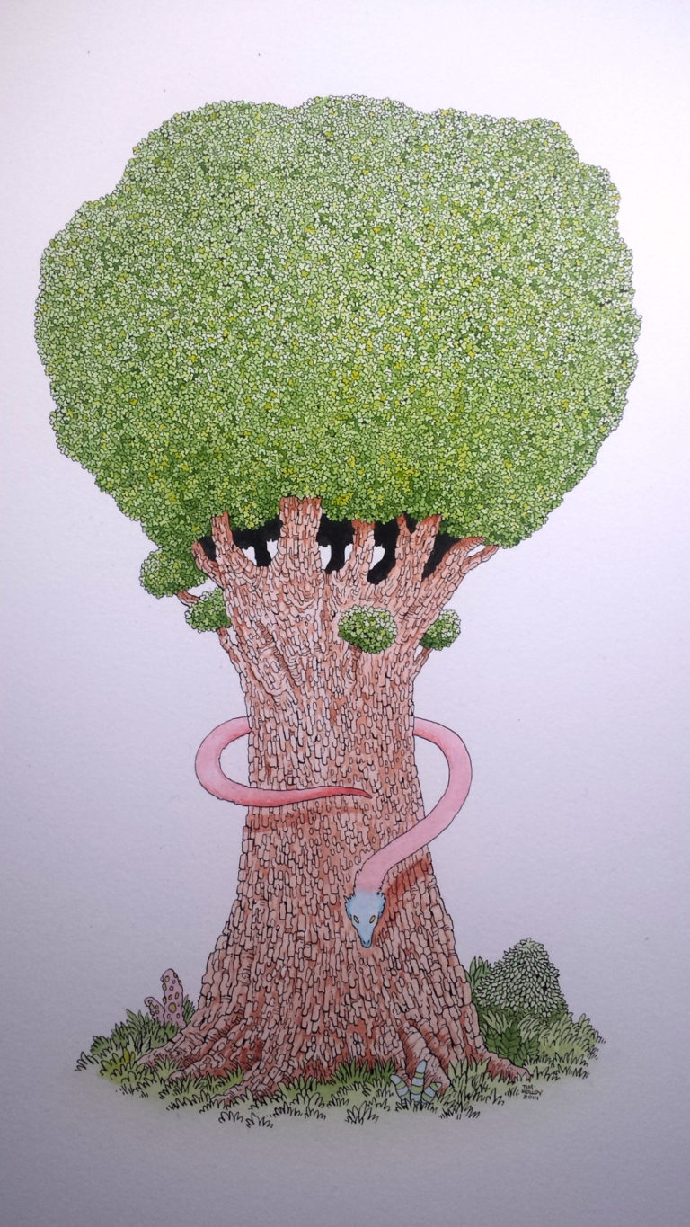 Extra-Dimensional Entities and Very Strange Things: Illustrations by ...