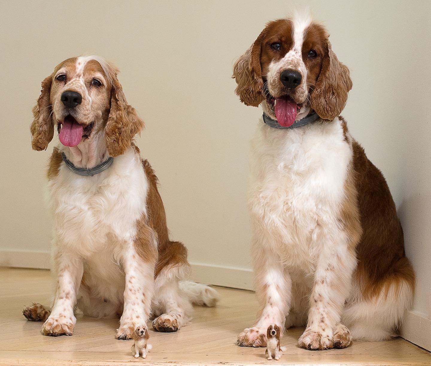 Artist Creates Felted Wool Toys Of Pets And Their Tiny Adorable Twins ...