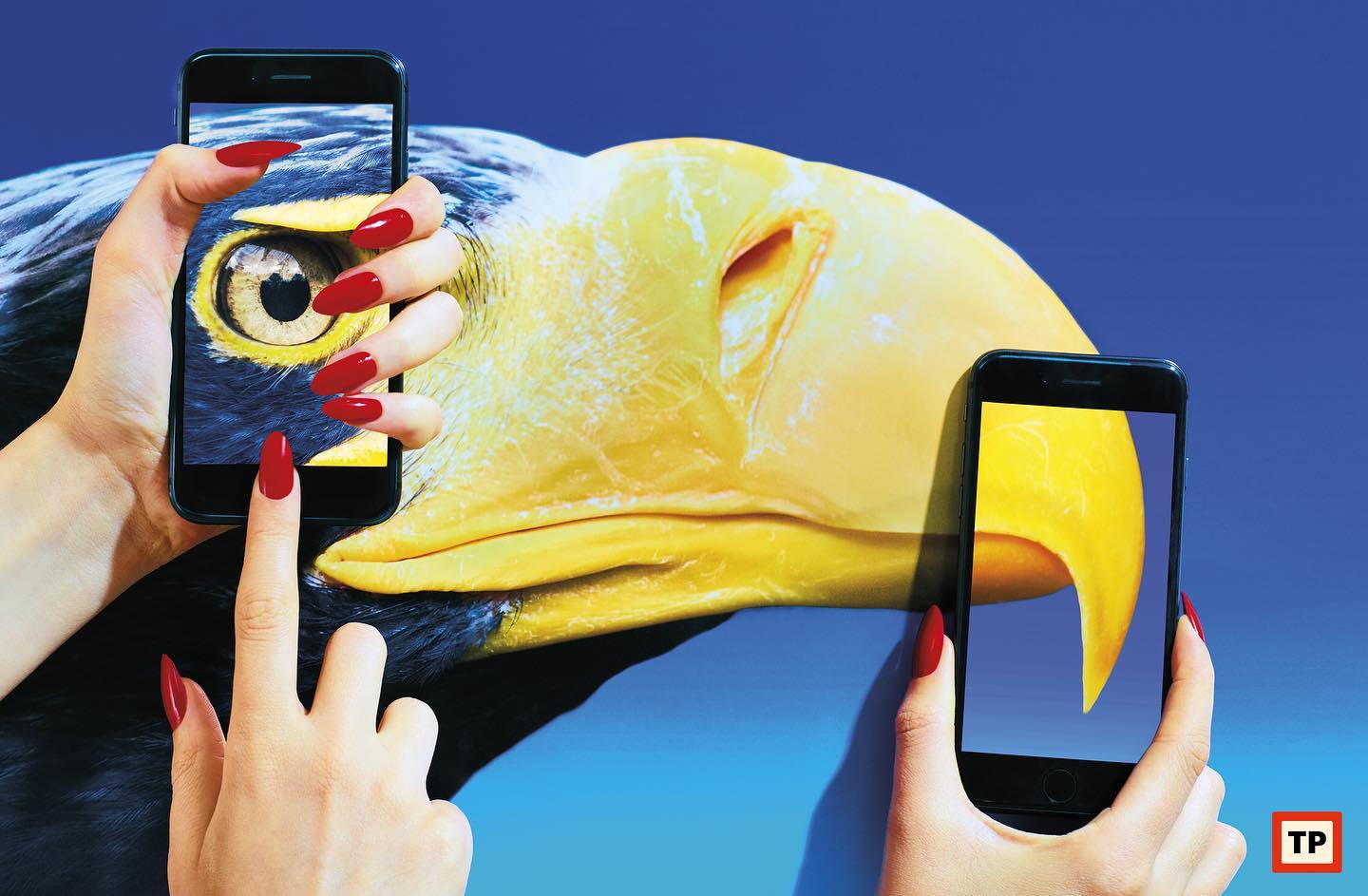 Vulgar, Funny, and Avant-Garde: The Crazy Covers of Toiletpaper ...