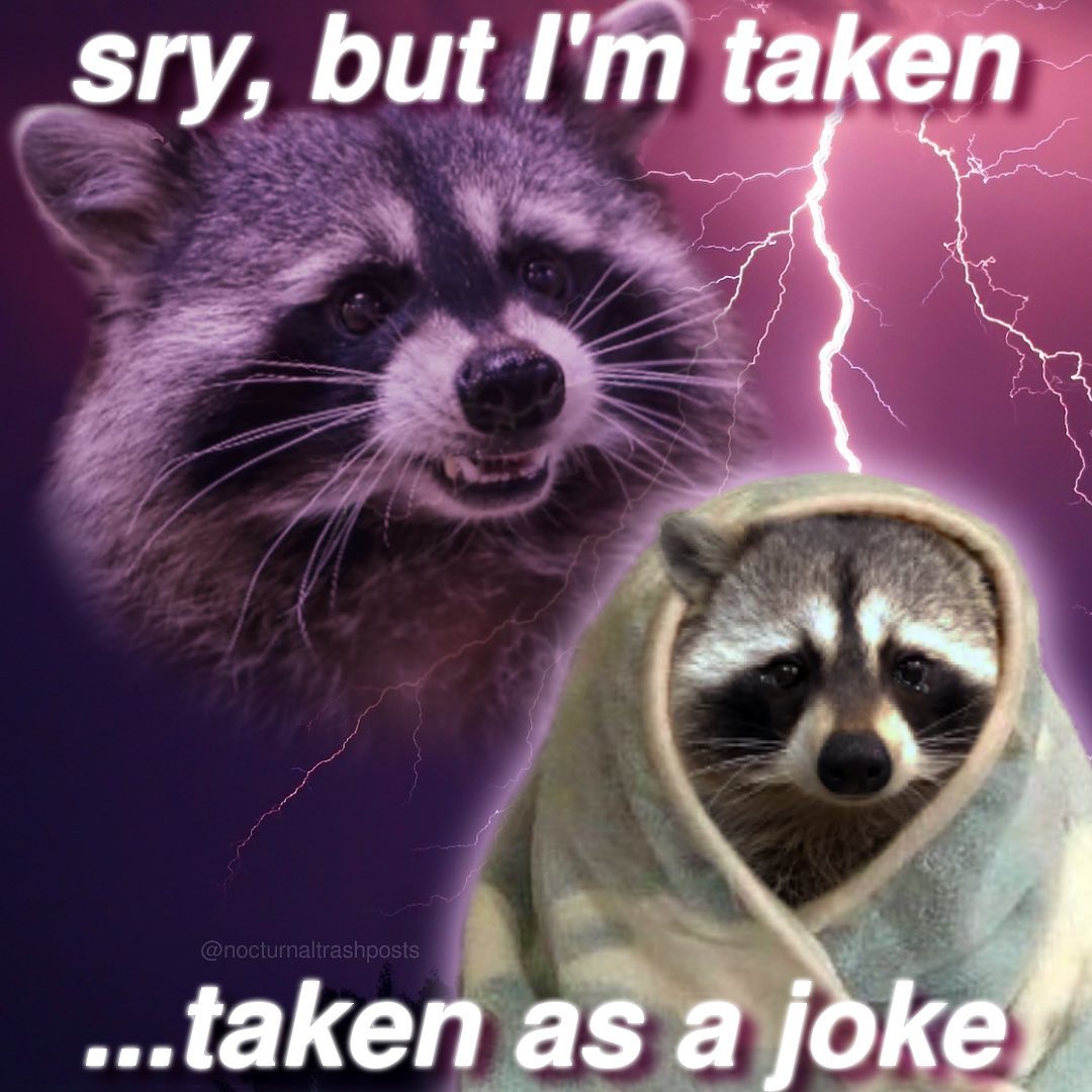 Funniest Raccoon Memes by Nocturnal Trash Posts » Design You Trust ...