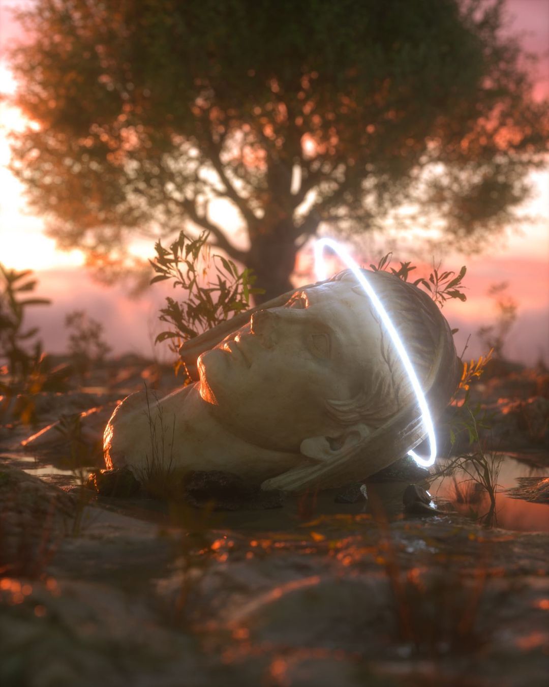 Solarium: The 3D Surreal Scapes of Dennis Fandango » Design You Trust ...