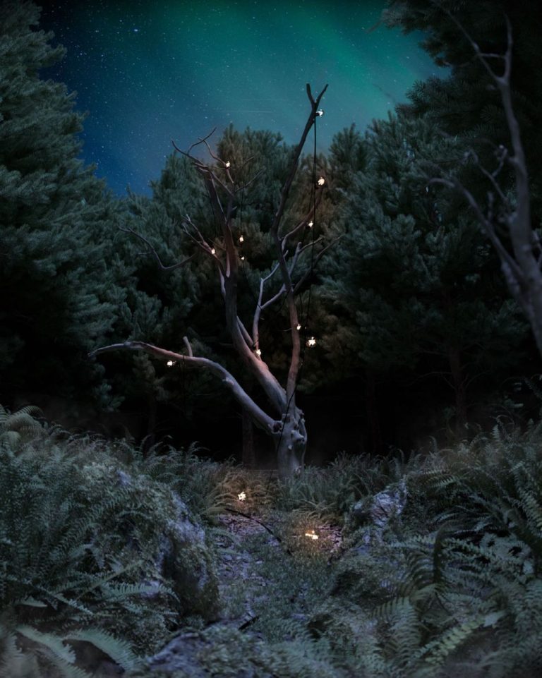 Solarium: The 3D Surreal Scapes of Dennis Fandango » Design You Trust ...