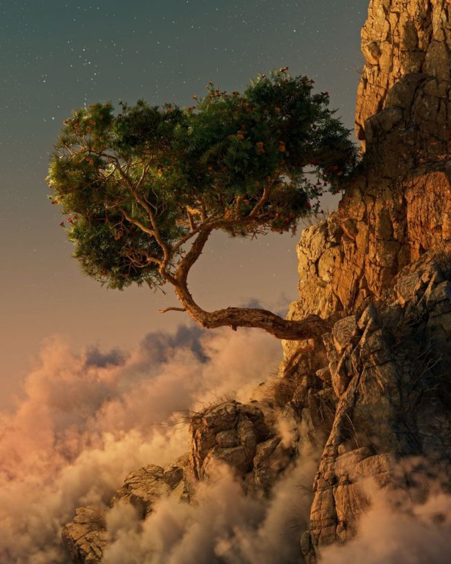 Solarium: The 3D Surreal Scapes of Dennis Fandango » Design You Trust ...