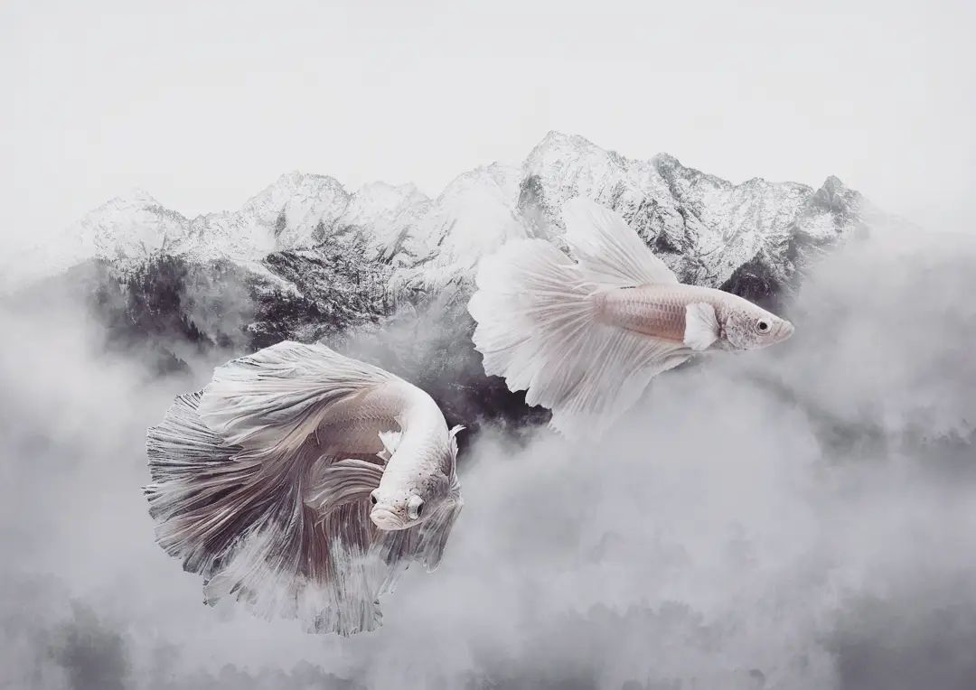 “Look At Usual Things With Unusual Eyes”: Artist Creates Surreal Images ...
