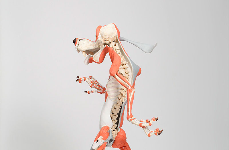 The Sculptor Created a Series of Bizarre Sculptures that Represent the ...