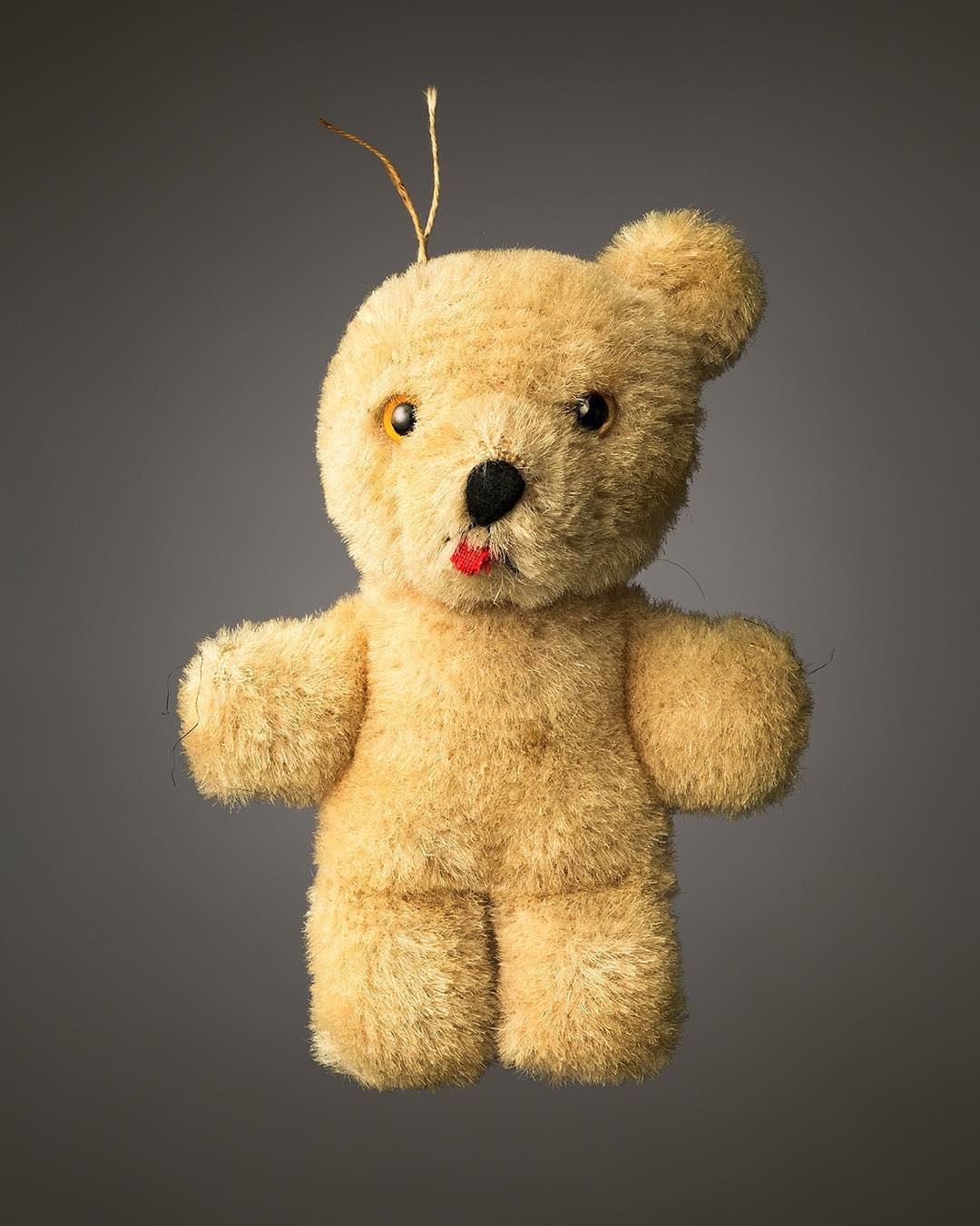 Much Loved: Photographer Captures Nostalgic Photos of Old Stuffed ...