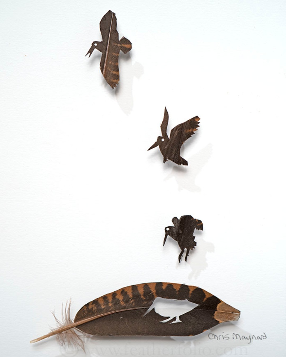 Incredible Feather Artworks by Chris Maynard » Design You Trust ...