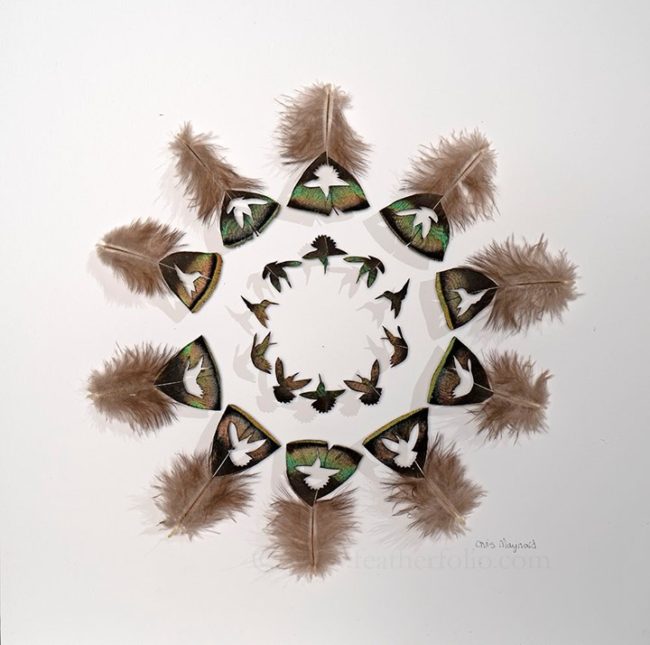 Incredible Feather Artworks by Chris Maynard » Design You Trust ...