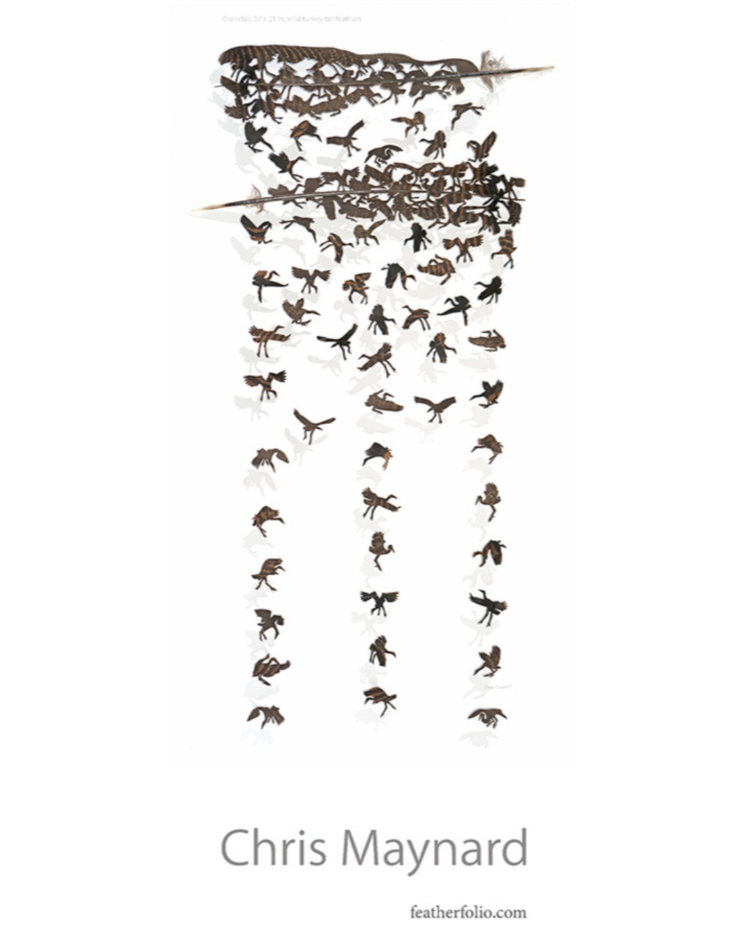 Incredible Feather Artworks by Chris Maynard » Design You Trust ...