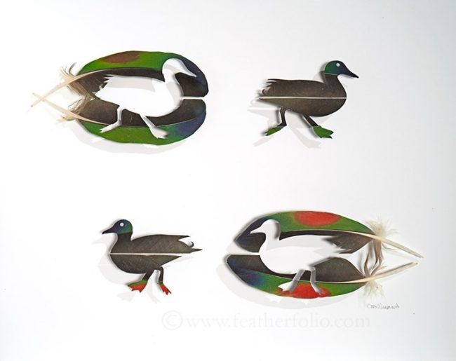 Incredible Feather Artworks by Chris Maynard » Design You Trust ...