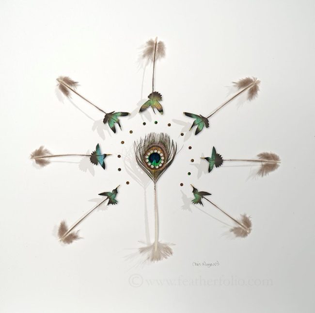 Incredible Feather Artworks by Chris Maynard » Design You Trust ...