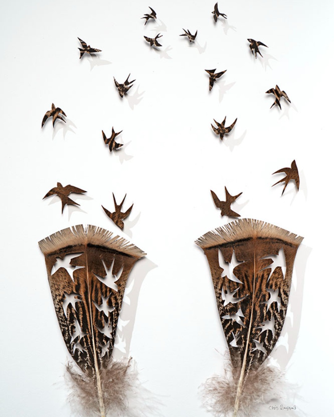 Incredible Feather Artworks by Chris Maynard » Design You Trust ...