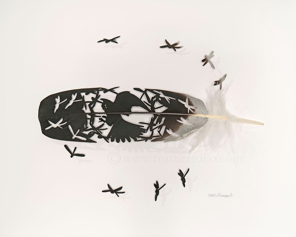 Incredible Feather Artworks by Chris Maynard » Design You Trust ...