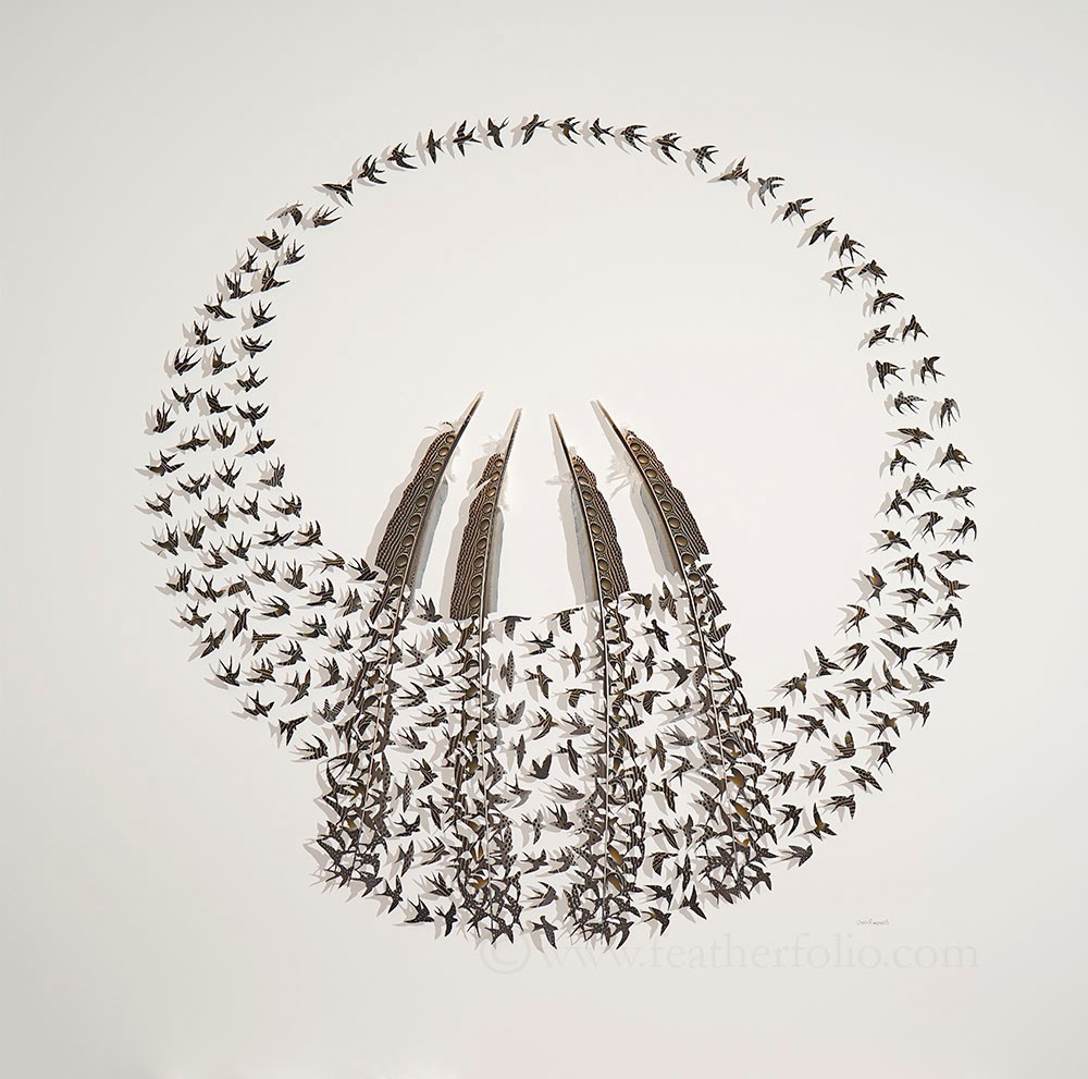 Incredible Feather Artworks by Chris Maynard » Design You Trust ...