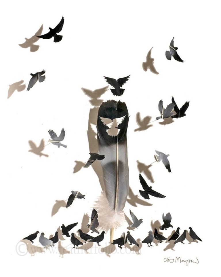 Incredible Feather Artworks by Chris Maynard » Design You Trust ...