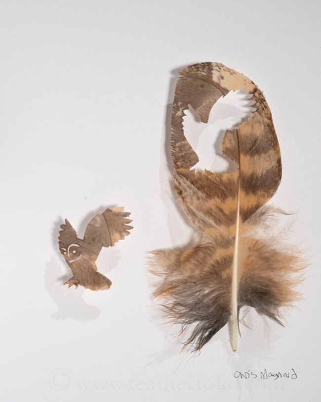 Incredible Feather Artworks by Chris Maynard » Design You Trust ...