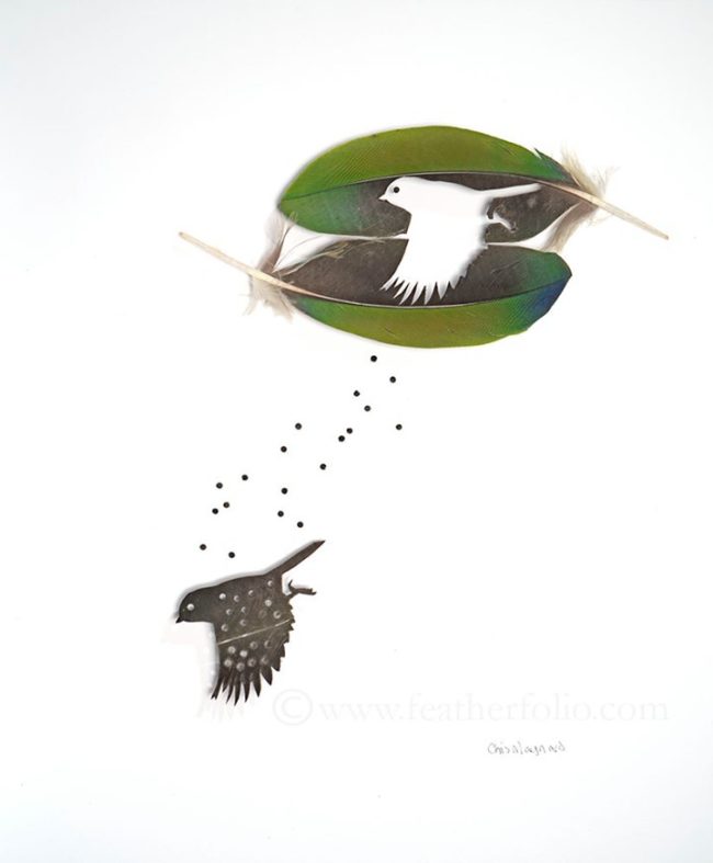 Incredible Feather Artworks by Chris Maynard » Design You Trust ...
