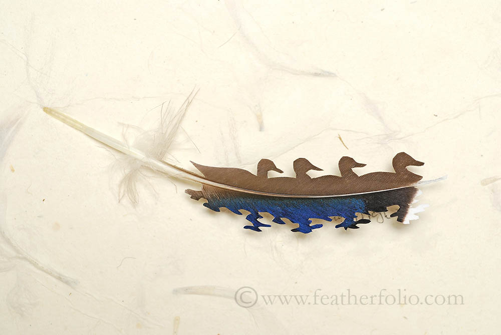 Incredible Feather Artworks by Chris Maynard » Design You Trust ...