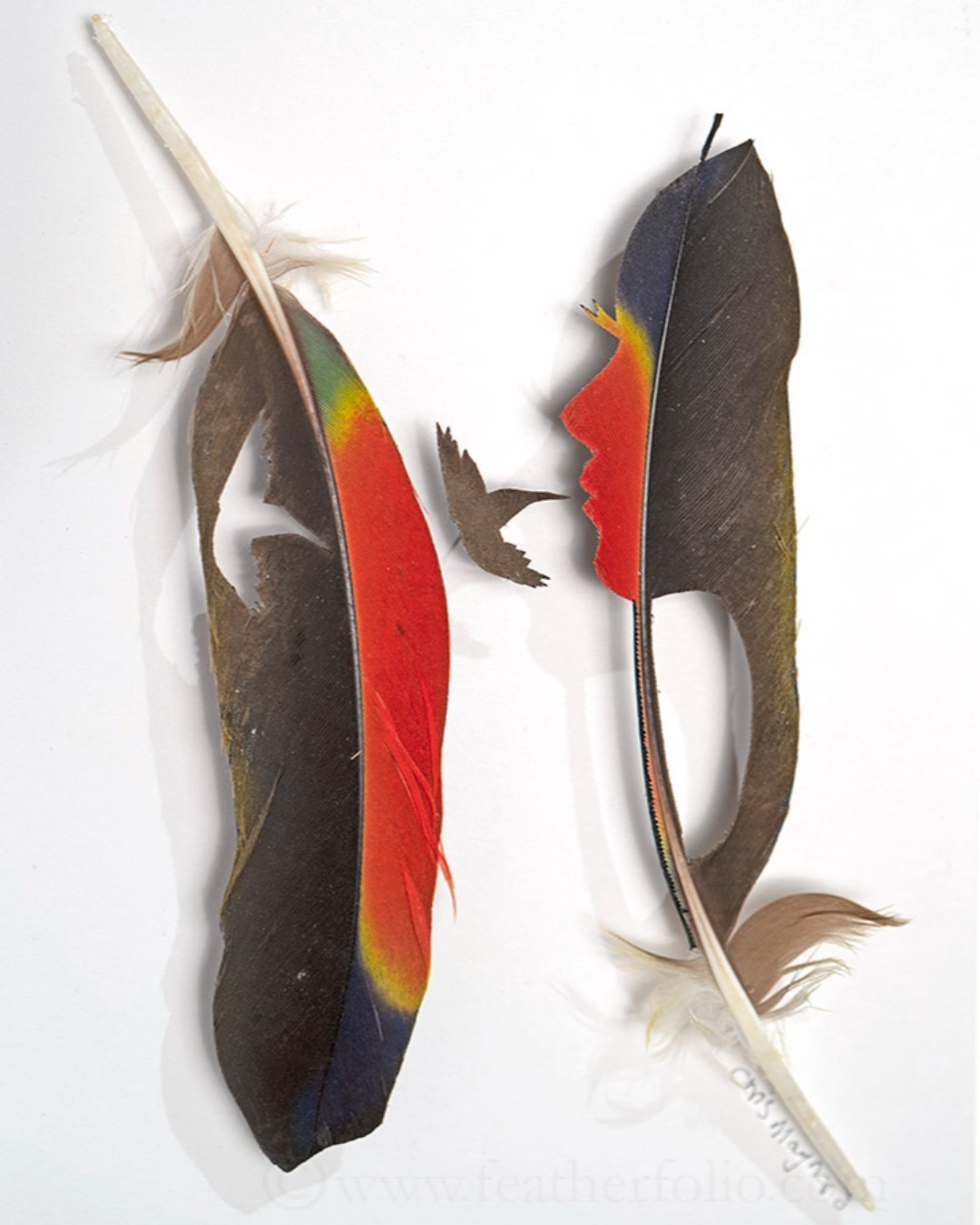 Incredible Feather Artworks by Chris Maynard » Design You Trust ...