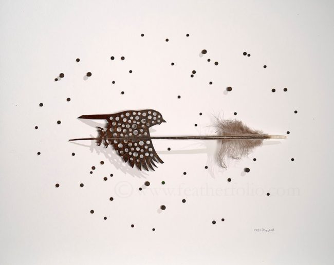 Incredible Feather Artworks by Chris Maynard » Design You Trust ...