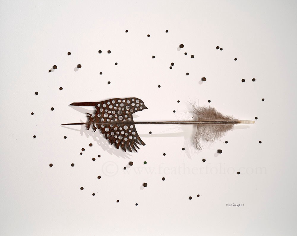 Incredible Feather Artworks by Chris Maynard » Design You Trust ...