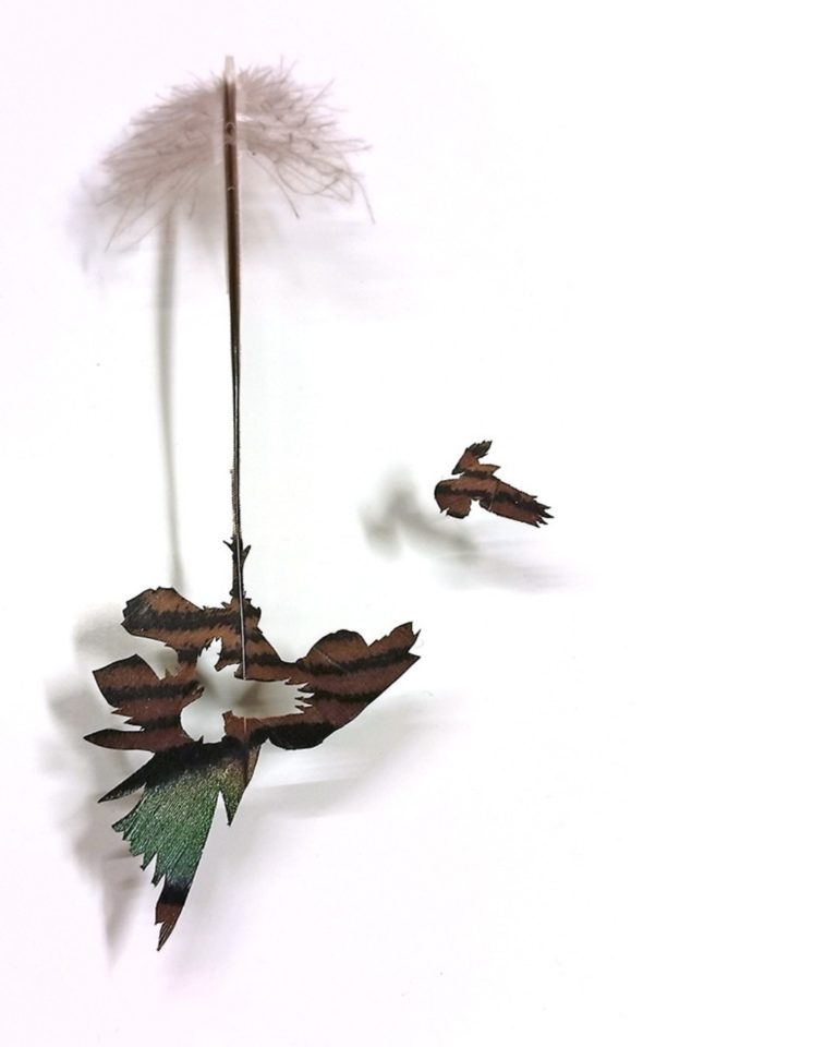 Incredible Feather Artworks by Chris Maynard » Design You Trust ...