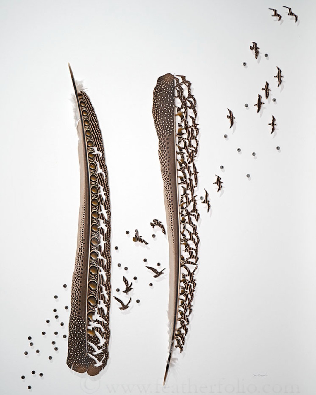 Incredible Feather Artworks by Chris Maynard » Design You Trust ...
