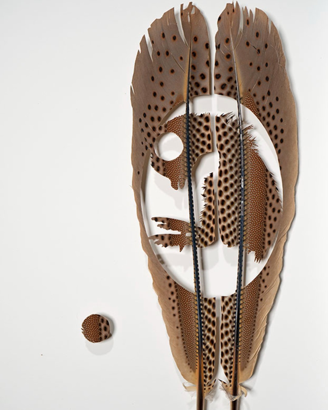 Incredible Feather Artworks by Chris Maynard » Design You Trust ...