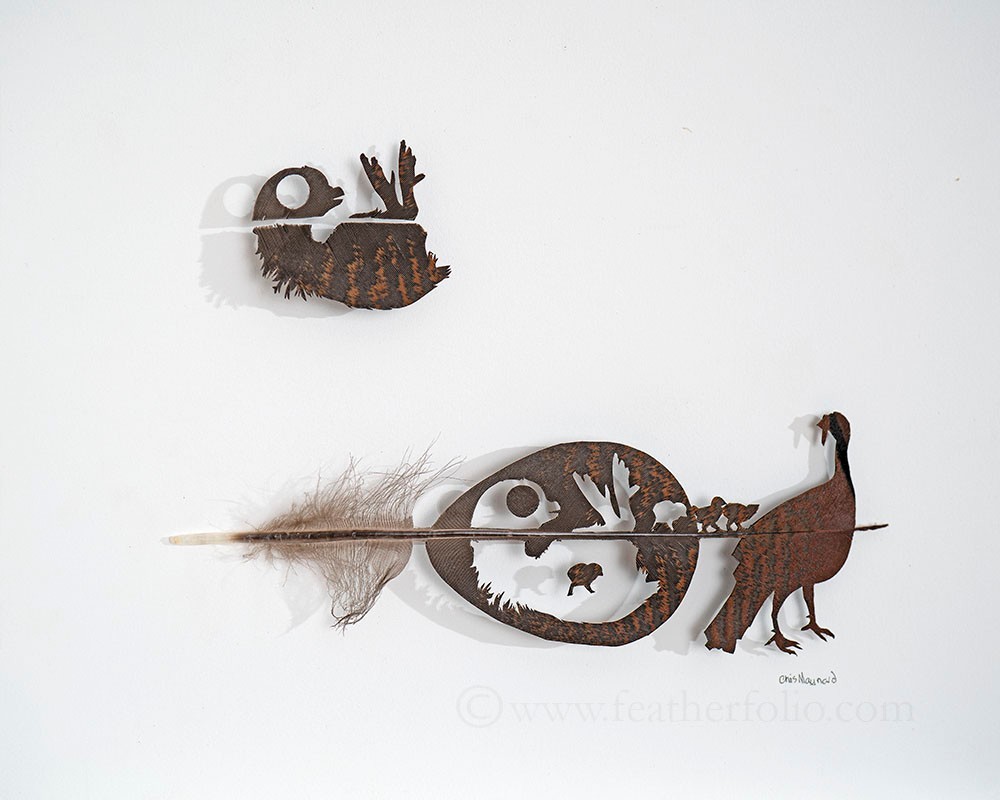 Incredible Feather Artworks by Chris Maynard » Design You Trust ...