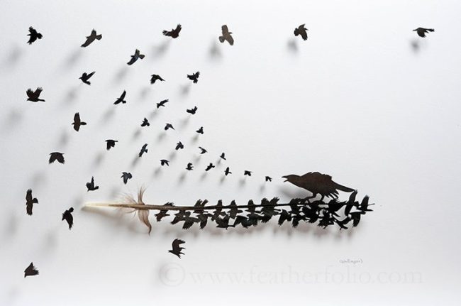 Incredible Feather Artworks by Chris Maynard » Design You Trust ...