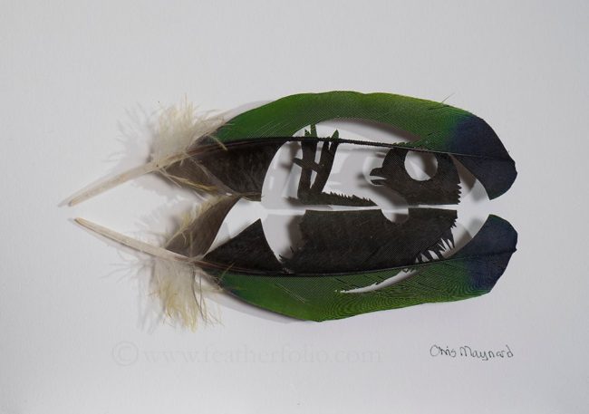 Incredible Feather Artworks by Chris Maynard » Design You Trust ...