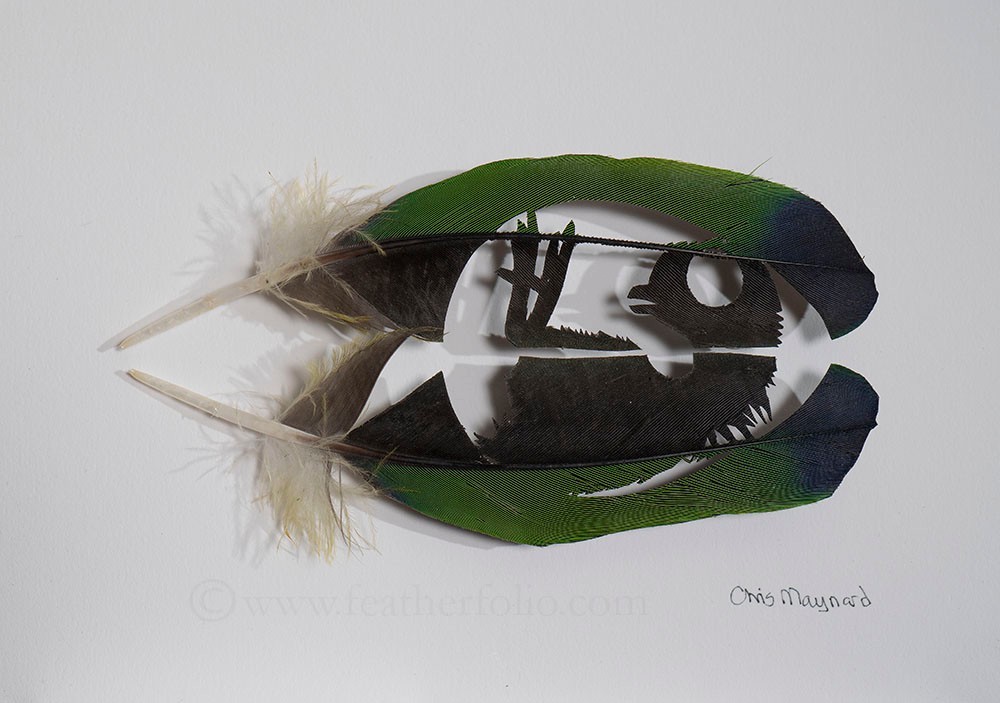 Incredible Feather Artworks by Chris Maynard » Design You Trust ...