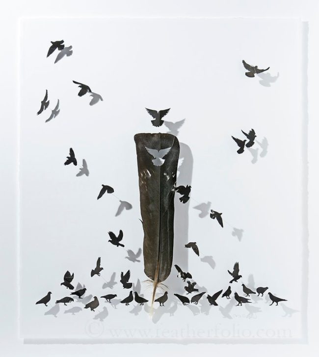 Incredible Feather Artworks by Chris Maynard » Design You Trust ...