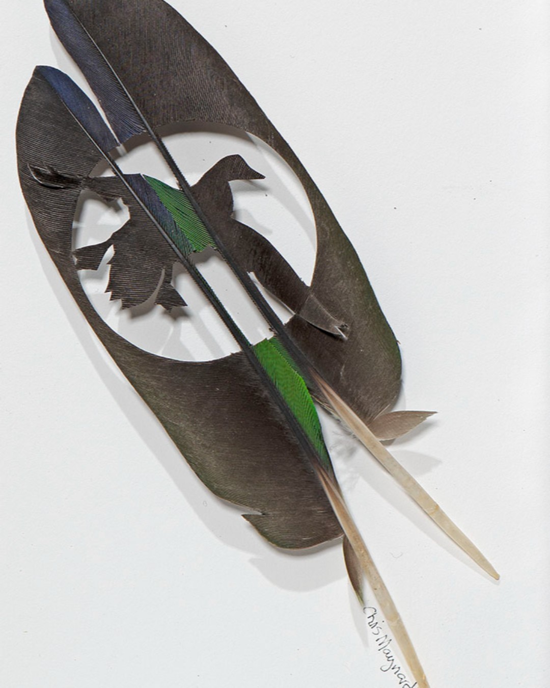 Incredible Feather Artworks by Chris Maynard » Design You Trust ...