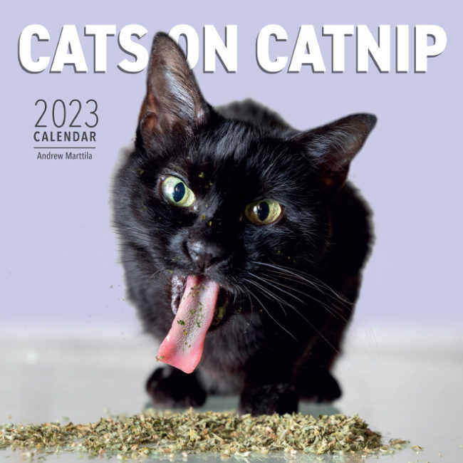 Finally, 2023 Cats On Catnip Calendar Is Here! » Design You Trust ...