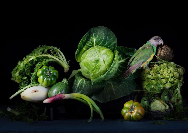 Photographer Captures Stunning Still Life Food Photography » Design You ...