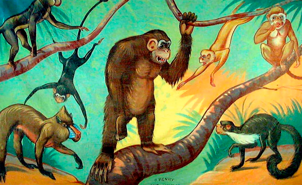 ALIVE! Fred G Johnson’s American Sideshow Banners » Design You Trust ...