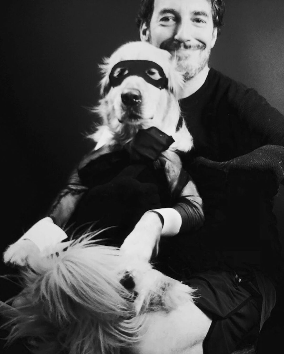 This Dog Perfectly Recreated Madonna’s Iconic Photos » Design You Trust ...