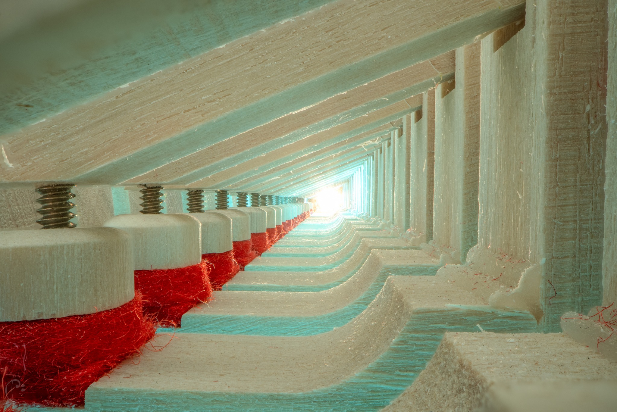 Photographer Captures Musical Instruments from The Inside, Turning Them ...