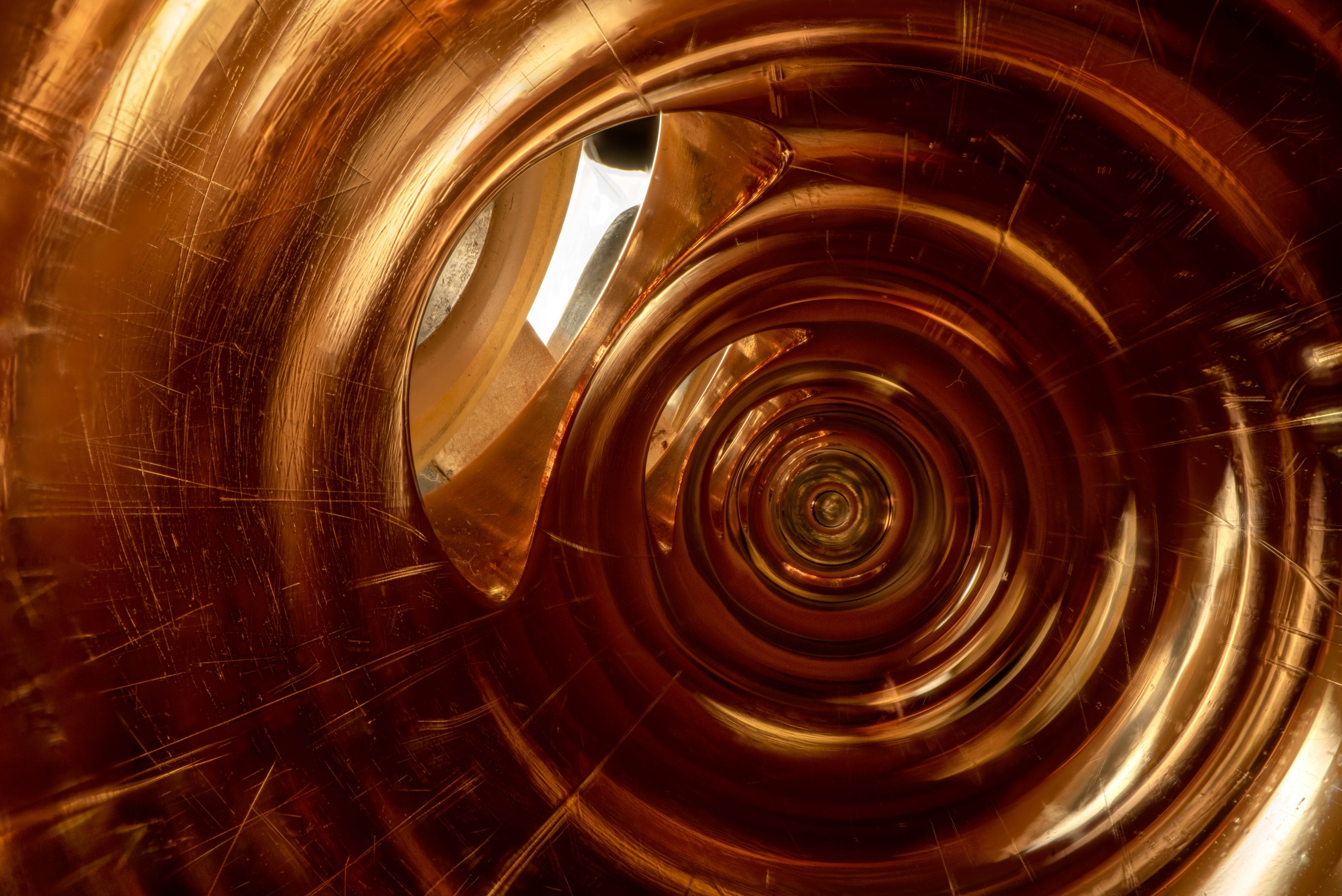 Photographer Captures Musical Instruments from The Inside, Turning Them ...