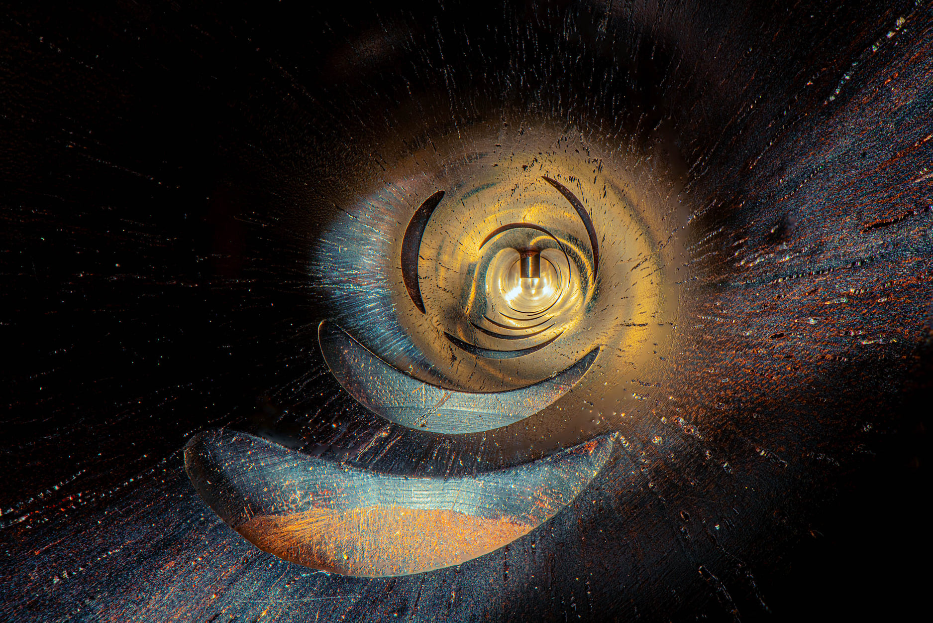 Photographer Captures Musical Instruments from The Inside, Turning Them ...