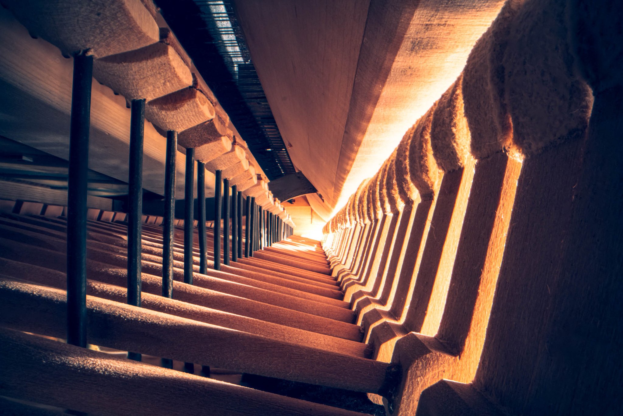 Photographer Captures Musical Instruments from The Inside, Turning Them ...