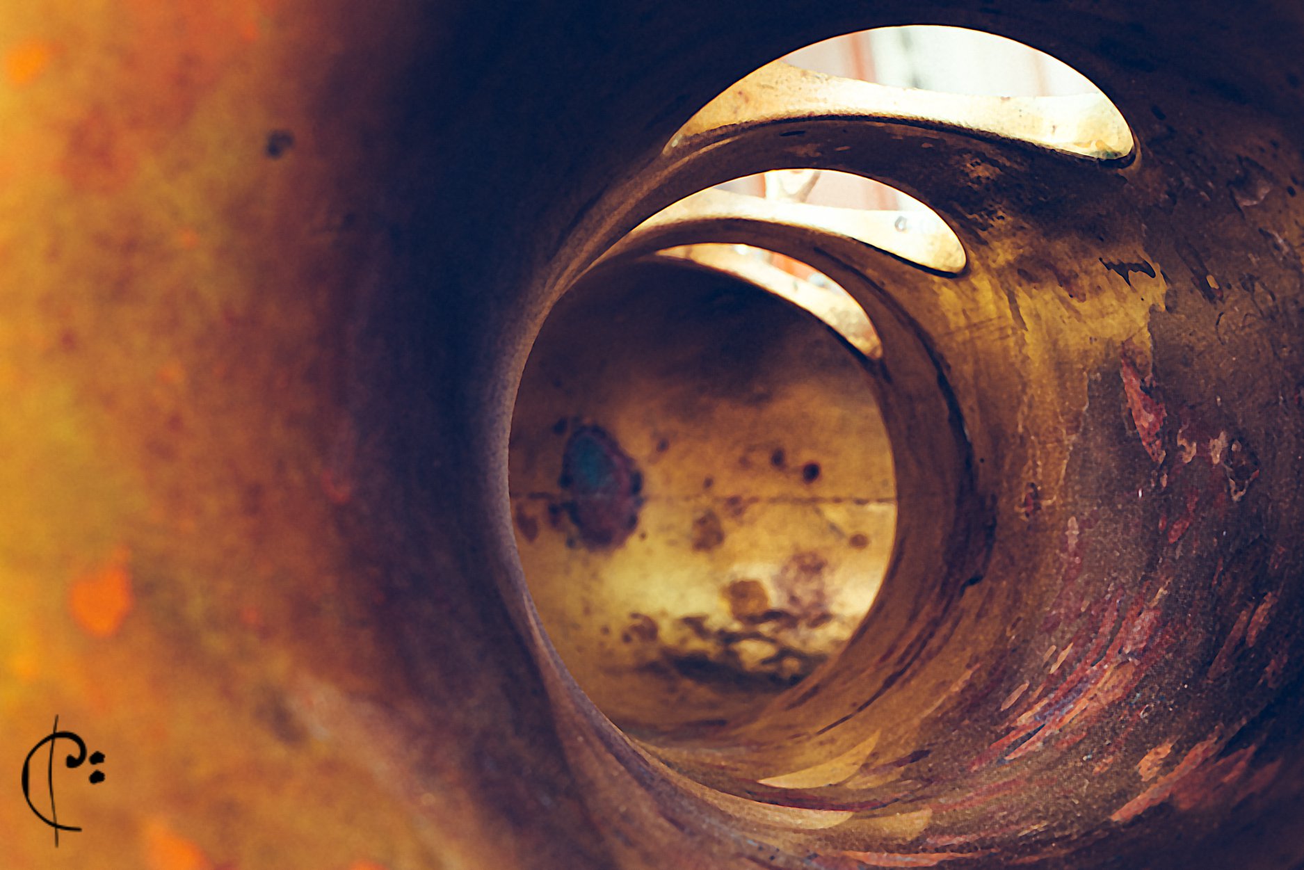 Photographer Captures Musical Instruments from The Inside, Turning Them ...