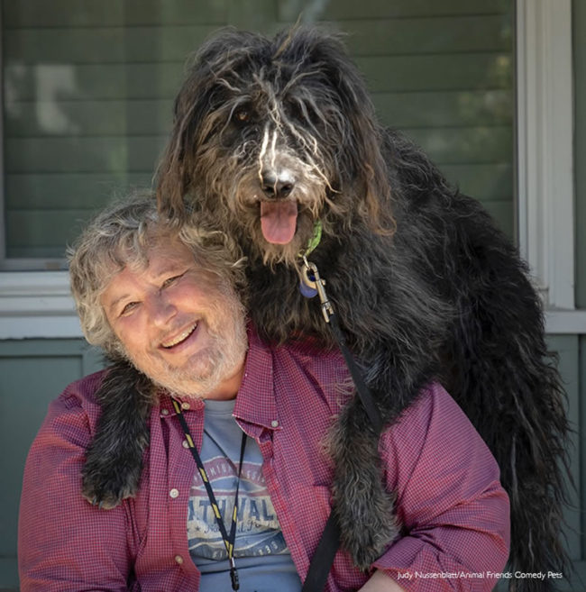 The Winning Photos Of Animal Friends Comedy Pet Photo Awards 2022 ...