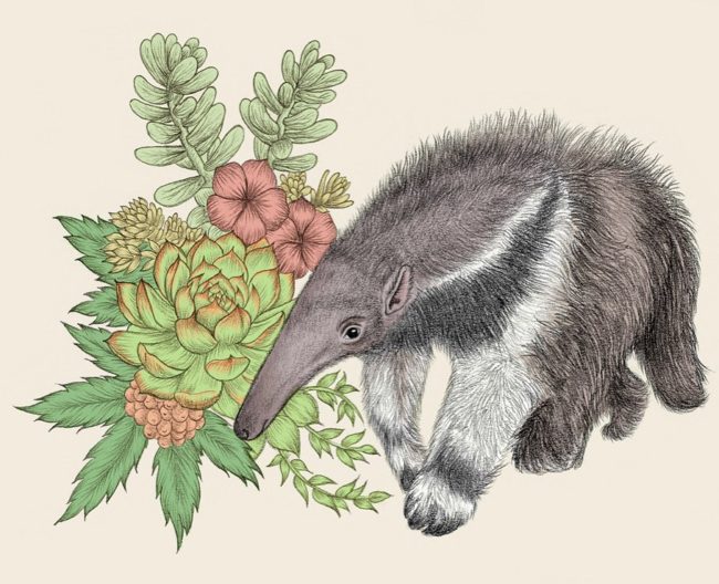 Colombian Artist Creates Illustrations Inspired by Medieval Drawings ...